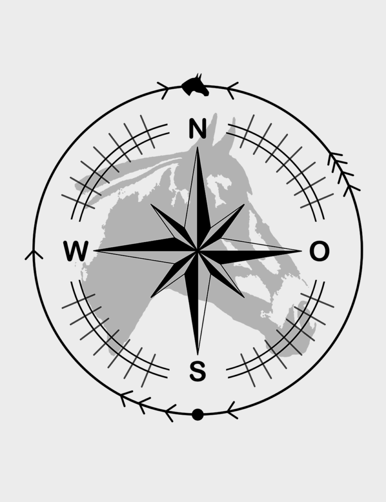 Caro Hoodie - Compass Weiß - Merchency Mainstore